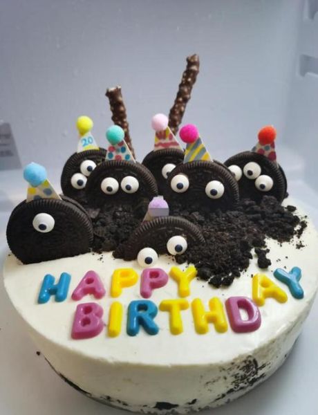 煤球蛋糕多少钱一个_哪里买最划算-第1张图片-山城妙识