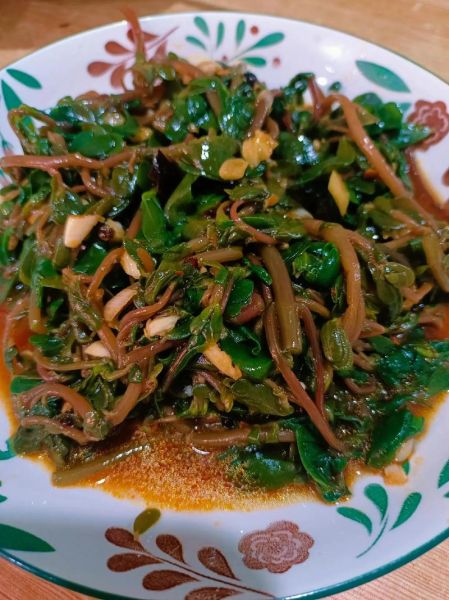 蚂蚱菜什么人不能吃_蚂蚱菜不能和什么一起吃-第2张图片-山城妙识