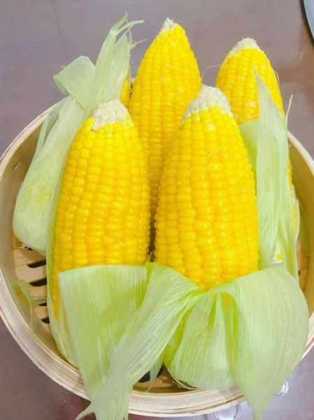 煮玉米要多久才熟_煮玉米用冷水还是热水-第3张图片-山城妙识