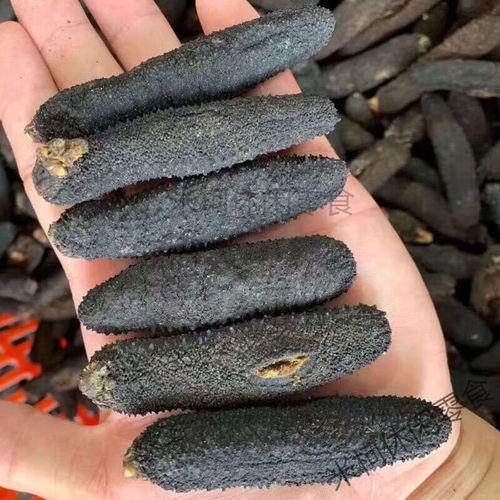 进口海参价格多少钱一斤_进口海参为什么这么贵-第1张图片-山城妙识