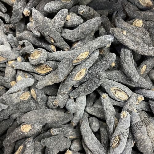 进口海参价格多少钱一斤_进口海参为什么这么贵-第3张图片-山城妙识