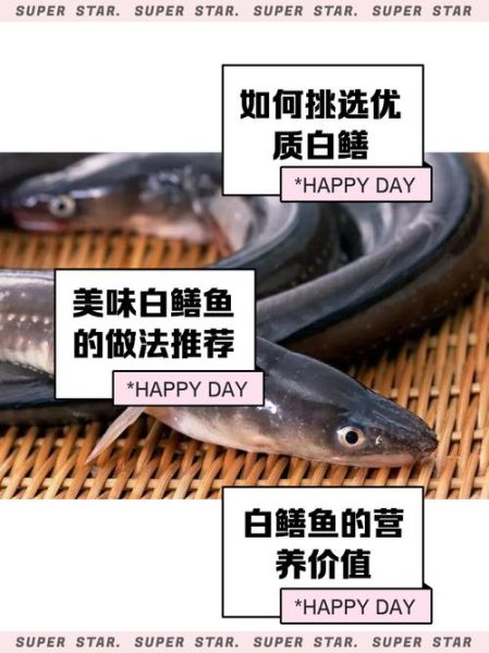 白鳝和黄鳝的区别_哪个更好吃-第3张图片-山城妙识
