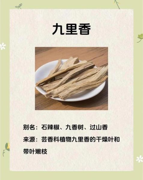 九里香的功效与作用_九里香能治什么病-第2张图片-山城妙识 九里香的功效与作用_九里香能治什么病-第2张图片-山城妙识