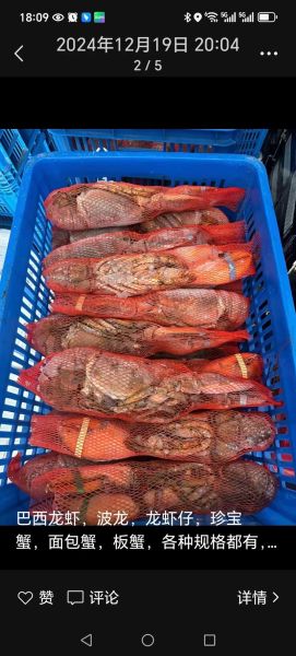 波龙多少钱一斤_波龙价格行情-第1张图片-山城妙识