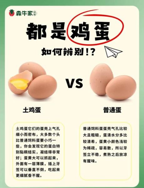 假鸡蛋怎么辨别_假鸡蛋真假辨别方法-第2张图片-山城妙识