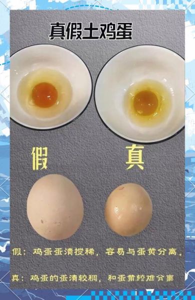 假鸡蛋怎么辨别_假鸡蛋真假辨别方法-第1张图片-山城妙识