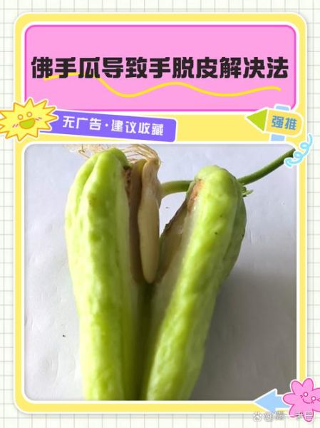 佛手瓜怎么去皮_佛手瓜去皮技巧-第1张图片-山城妙识