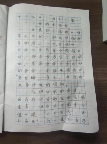 糖炒栗子作文怎么写_糖炒栗子作文开头怎么写-第3张图片-山城妙识