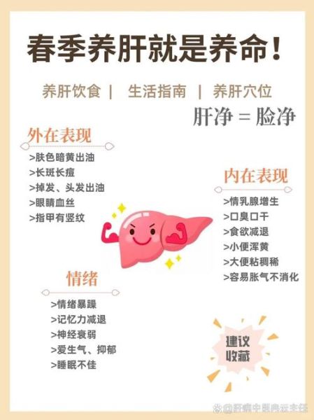 肝脏排毒一干二净_如何科学护肝-第2张图片-山城妙识