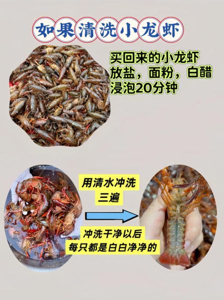 龙虾怎么清洗_龙虾处理干净方法-第1张图片-山城妙识