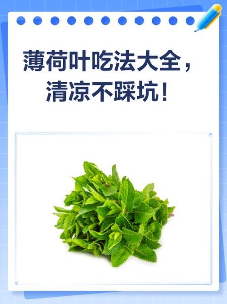 薄荷叶怎么吃_薄荷叶的吃法有几种-第3张图片-山城妙识