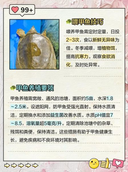 甲鱼苗吃什么_甲鱼苗饲料怎么选-第3张图片-山城妙识