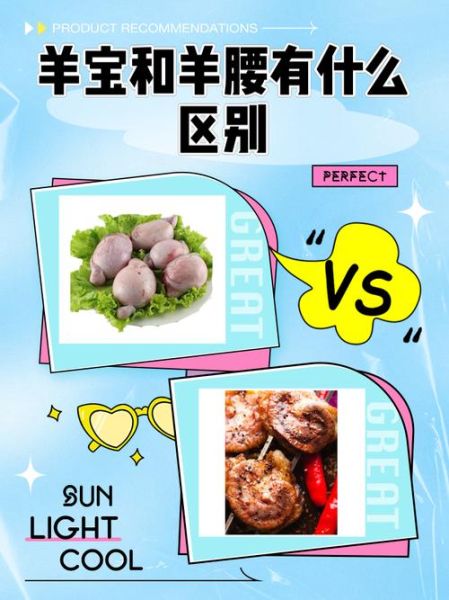 羊宝和羊腰哪个好_营养价值与口感对比-第1张图片-山城妙识
