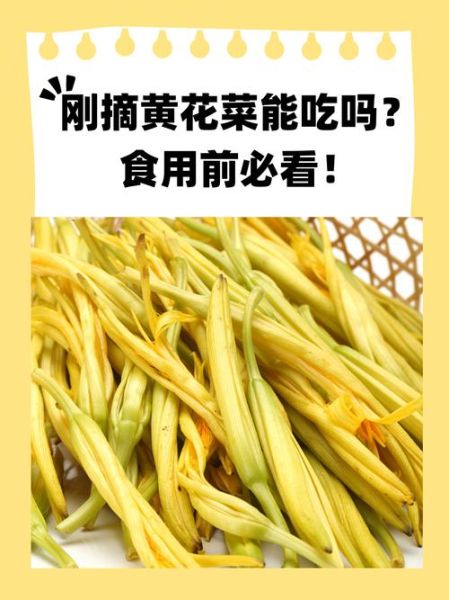 黄花菜怎么吃没有毒_鲜黄花菜去毒方法-第1张图片-山城妙识