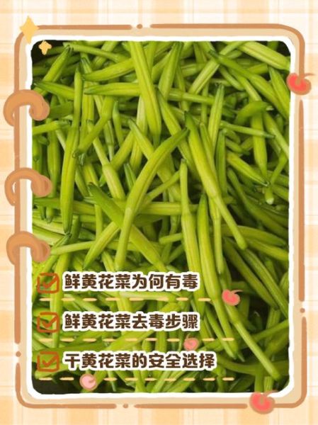 黄花菜怎么吃没有毒_鲜黄花菜去毒方法-第2张图片-山城妙识