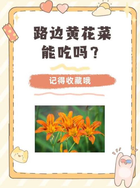 黄花菜怎么吃没有毒_鲜黄花菜去毒方法-第3张图片-山城妙识