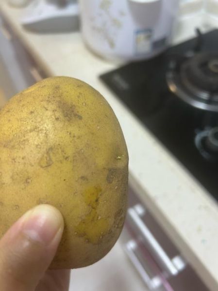 发芽的土豆煮熟能吃吗_吃了会中毒吗-第1张图片-山城妙识