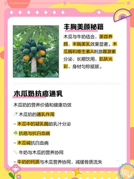 木瓜奶是什么意思_木瓜奶的功效与作用-第2张图片-山城妙识