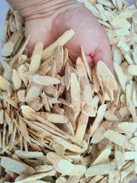 北芪图片长什么样_北芪真假如何辨别-第3张图片-山城妙识 北芪图片长什么样_北芪真假如何辨别-第3张图片-山城妙识