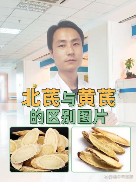 北芪图片长什么样_北芪真假如何辨别-第1张图片-山城妙识 北芪图片长什么样_北芪真假如何辨别-第1张图片-山城妙识
