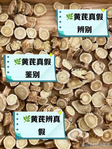 北芪图片长什么样_北芪真假如何辨别-第2张图片-山城妙识 北芪图片长什么样_北芪真假如何辨别-第2张图片-山城妙识