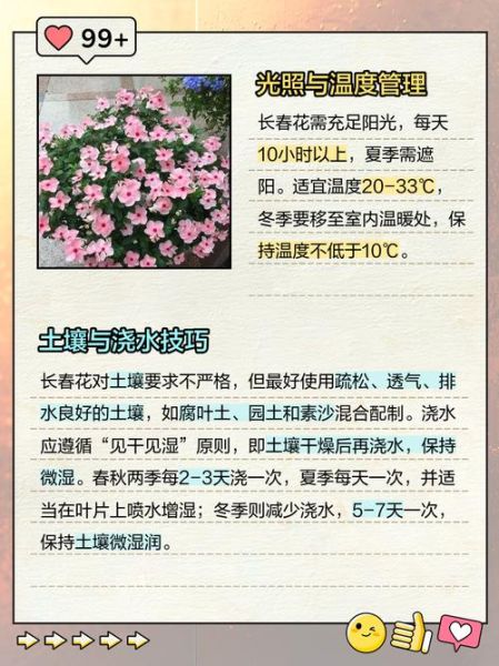 长春花怎么修剪_长春花修剪后多久开花-第2张图片-山城妙识