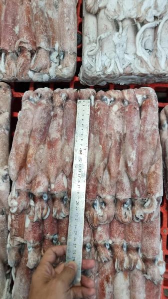 冻鱿鱼怎么做好吃_冻鱿鱼家常做法大全-第3张图片-山城妙识