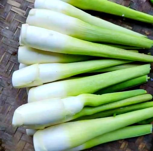 茭白怎么挑选_茭白怎么保存-第2张图片-山城妙识 茭白怎么挑选_茭白怎么保存-第2张图片-山城妙识