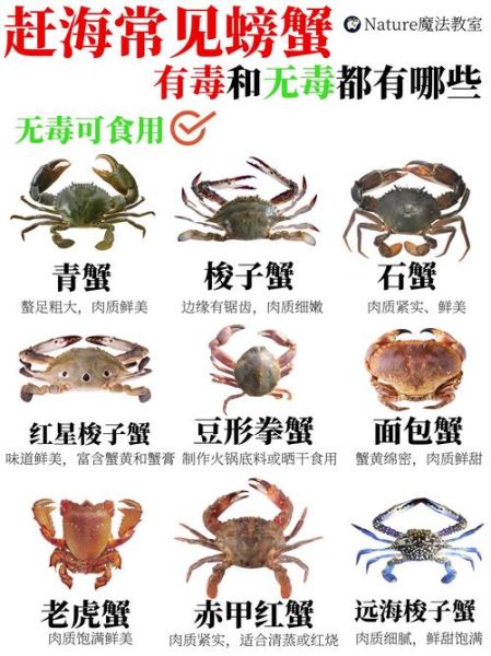 哪些螃蟹有毒_有毒螃蟹名单-第1张图片-山城妙识