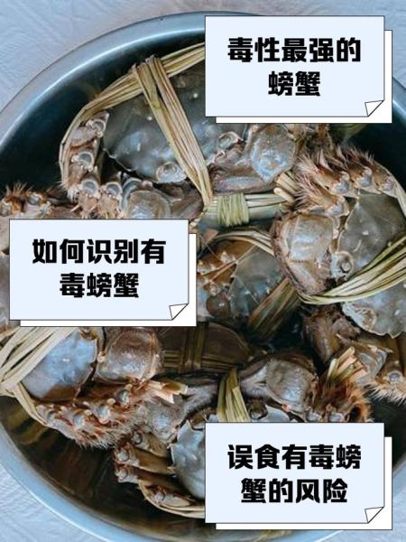 哪些螃蟹有毒_有毒螃蟹名单-第3张图片-山城妙识