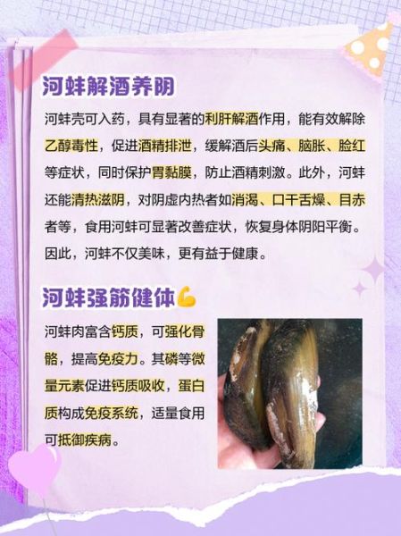 河蚌的营养价值及功效与作用_河蚌怎么吃最营养-第1张图片-山城妙识 河蚌的营养价值及功效与作用_河蚌怎么吃最营养-第1张图片-山城妙识