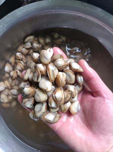 海瓜子怎么快速吐沙_海瓜子吐沙最快的方法-第1张图片-山城妙识 海瓜子怎么快速吐沙_海瓜子吐沙最快的方法-第1张图片-山城妙识