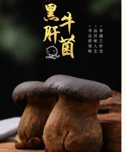 黑牛肝菌多少钱一斤_黑牛肝菌价格行情-第1张图片-山城妙识