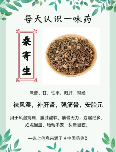 桑寄生莲子蛋茶的功效_怎么做才最养生-第3张图片-山城妙识 桑寄生莲子蛋茶的功效_怎么做才最养生-第3张图片-山城妙识