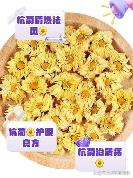 杭菊花有什么功效_杭菊花的作用与禁忌-第1张图片-山城妙识 杭菊花有什么功效_杭菊花的作用与禁忌-第1张图片-山城妙识