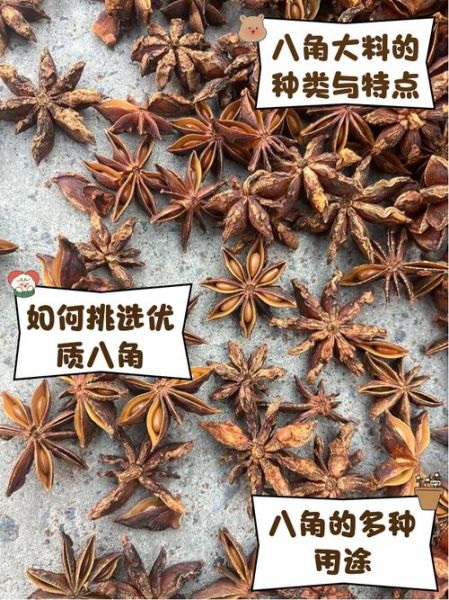大料的作用与功效_大料能去腥增香吗-第3张图片-山城妙识