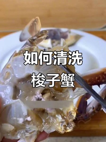 梭子蟹怎么杀_梭子蟹清洗步骤-第2张图片-山城妙识