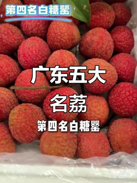广东荔枝品种有哪些_哪种最好吃-第1张图片-山城妙识 广东荔枝品种有哪些_哪种最好吃-第1张图片-山城妙识