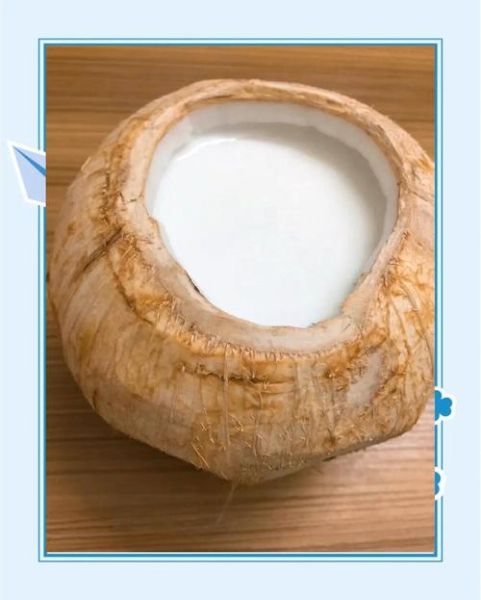 椰肉甜品怎么做_椰肉甜品有哪些简单做法-第1张图片-山城妙识