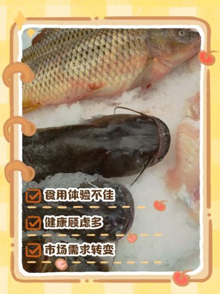 吃鲢鱼的禁忌_哪些人不能吃鲢鱼-第3张图片-山城妙识