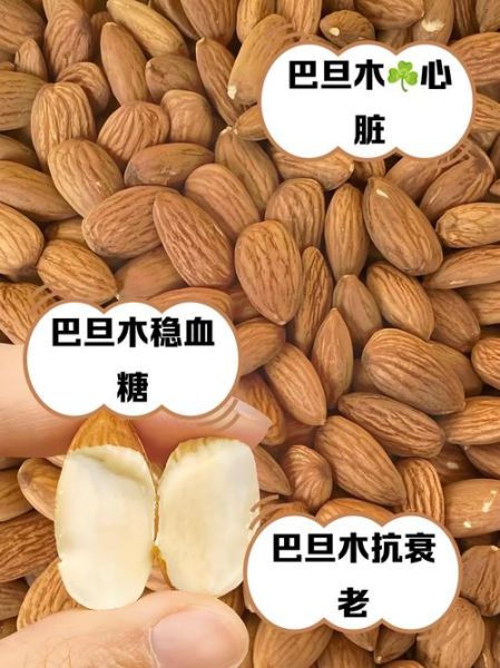 干果种类大全图片_哪些干果营养价值最高-第1张图片-山城妙识