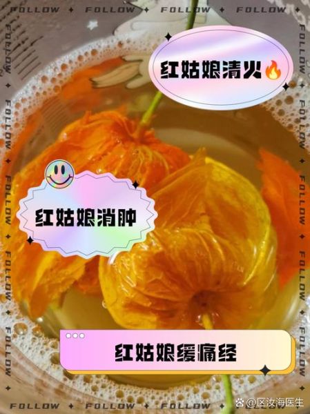红姑娘泡水喝有什么功效_红姑娘泡水喝的禁忌-第1张图片-山城妙识