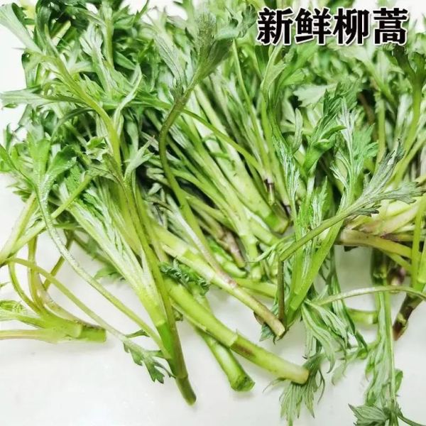 藜蒿和芦蒿的区别_哪个更好吃-第1张图片-山城妙识