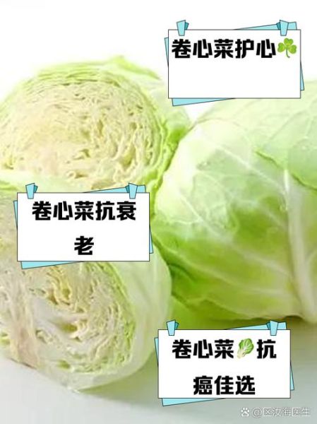 红卷心菜的功效与作用_怎么吃最营养-第2张图片-山城妙识