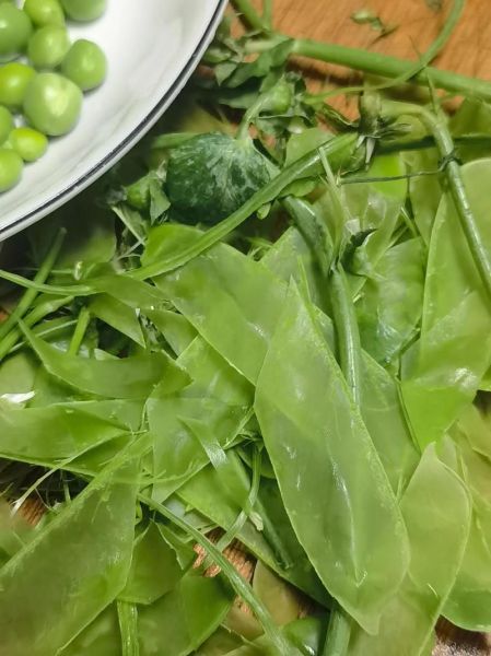 新鲜青豌豆怎么做好吃_青豌豆的家常做法大全-第2张图片-山城妙识