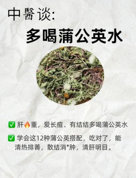 蒲公英的功效与禁忌_什么人不能吃蒲公英-第1张图片-山城妙识 蒲公英的功效与禁忌_什么人不能吃蒲公英-第1张图片-山城妙识