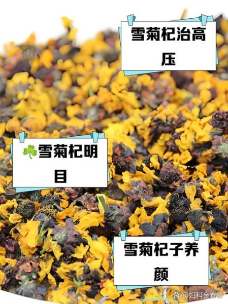雪菊泡水喝有什么功效_雪菊泡水喝的禁忌-第3张图片-山城妙识 雪菊泡水喝有什么功效_雪菊泡水喝的禁忌-第3张图片-山城妙识