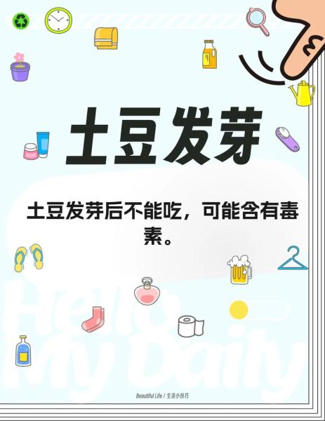 土豆发芽能吃吗_如何判断土豆是否发芽-第2张图片-山城妙识