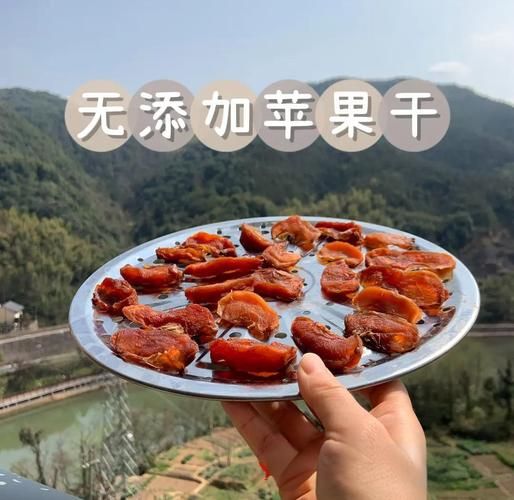 苹果干怎么做_苹果干需要晒多久-第1张图片-山城妙识