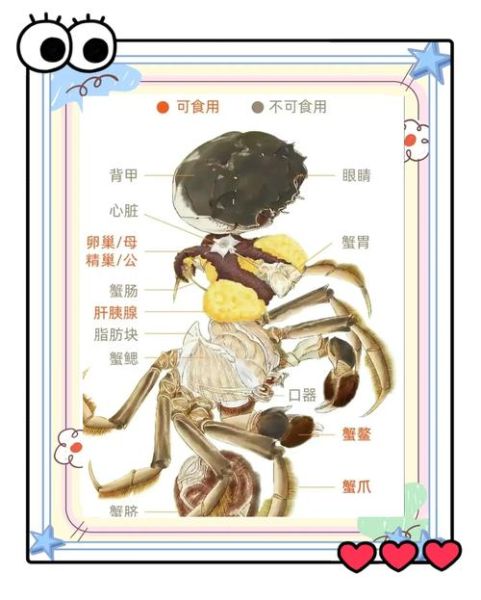 小螃蟹怎么剥壳_小螃蟹怎么吃图解-第1张图片-山城妙识 小螃蟹怎么剥壳_小螃蟹怎么吃图解-第1张图片-山城妙识